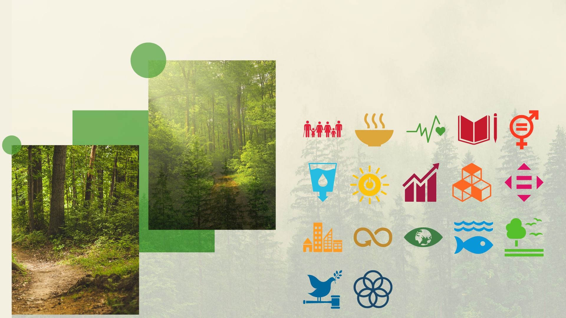 Creating a Positive Footprint with BunkoJunko | Sustainable Upcycling ...